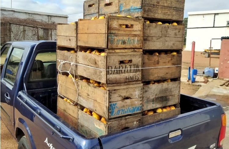 CAMIONETA CON FRUTA | La Mañana